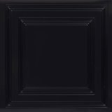 232-Economy 2 ft. x 2 ft. PVC Lay-in Ceiling Tile in Black Glossy (40 ...