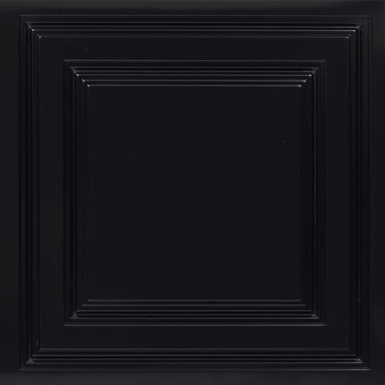 232-Economy 2 ft. x 2 ft. PVC Lay-in Ceiling Tile in Black Glossy (400 ...