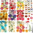 235 Pcs Pressed Dried Flowers for Resin, Natural Real Dried Pressed ...