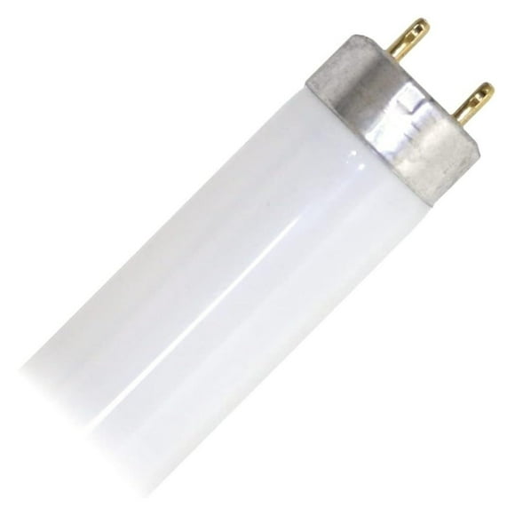 T8 Fluorescent Light Bulbs