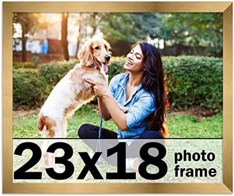 23X18 Frame Bronze Picture Frame - Modern Photo Frame Includes UV Guard ...