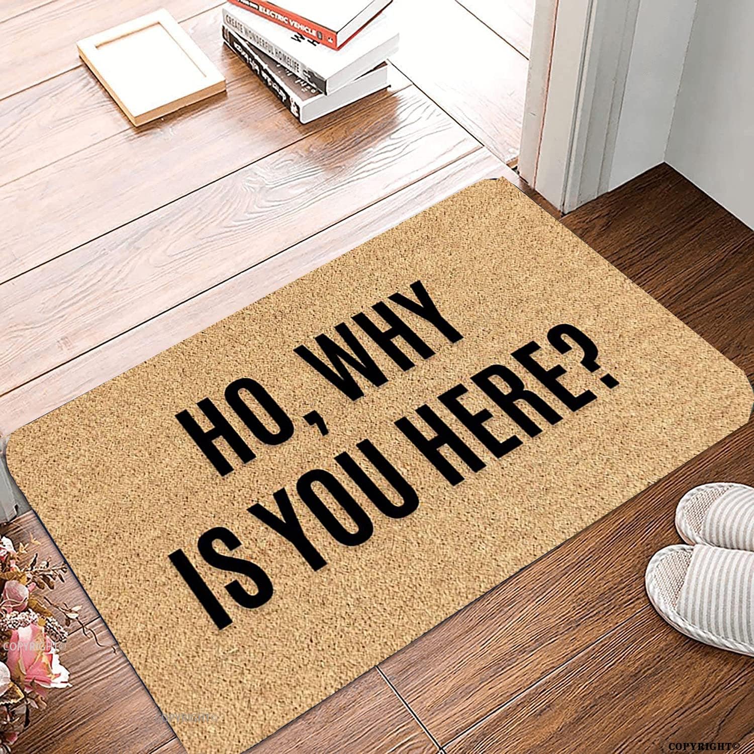 24*16inches Welcome Mats for Front Door Entry Ho Why is You Here Doormat Doormat Non Slip Mat ...