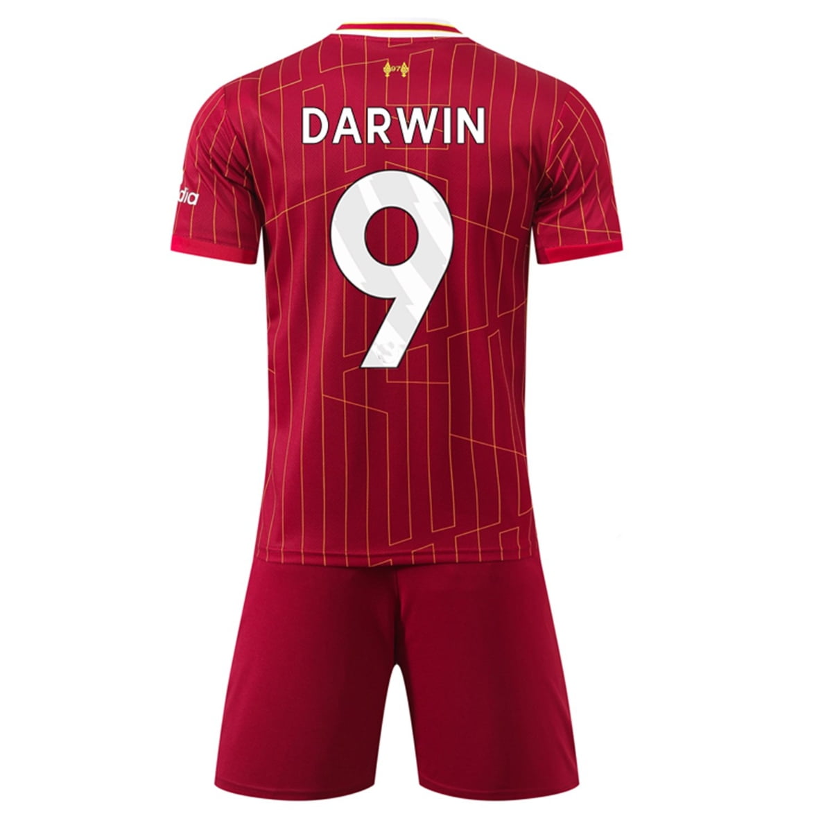 24/25 The Reds Home Soccer Activewear No.9 Darwin Football Fans ...