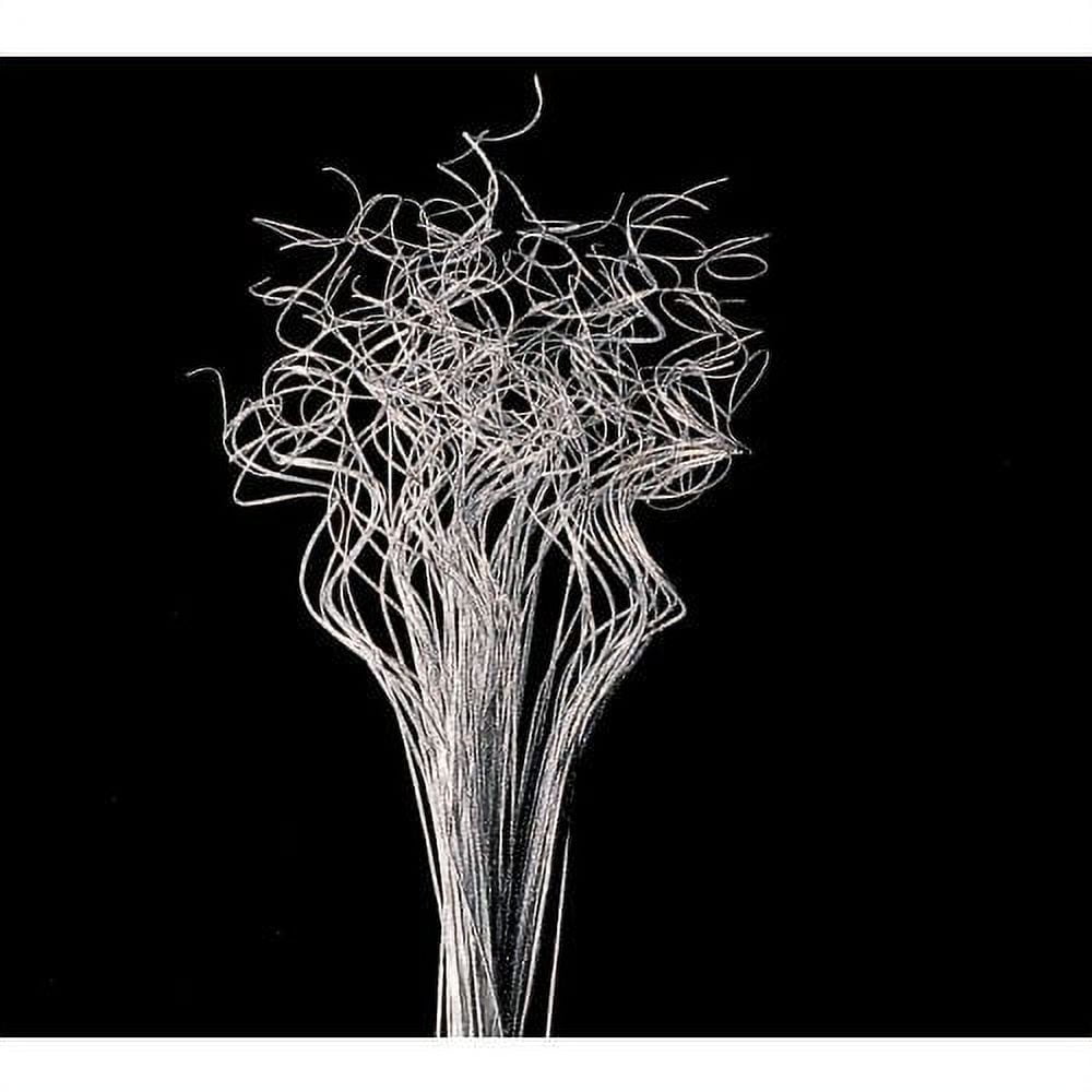 24-28" Silver Sparkle Curly Ting Ting Branch - Walmart.com