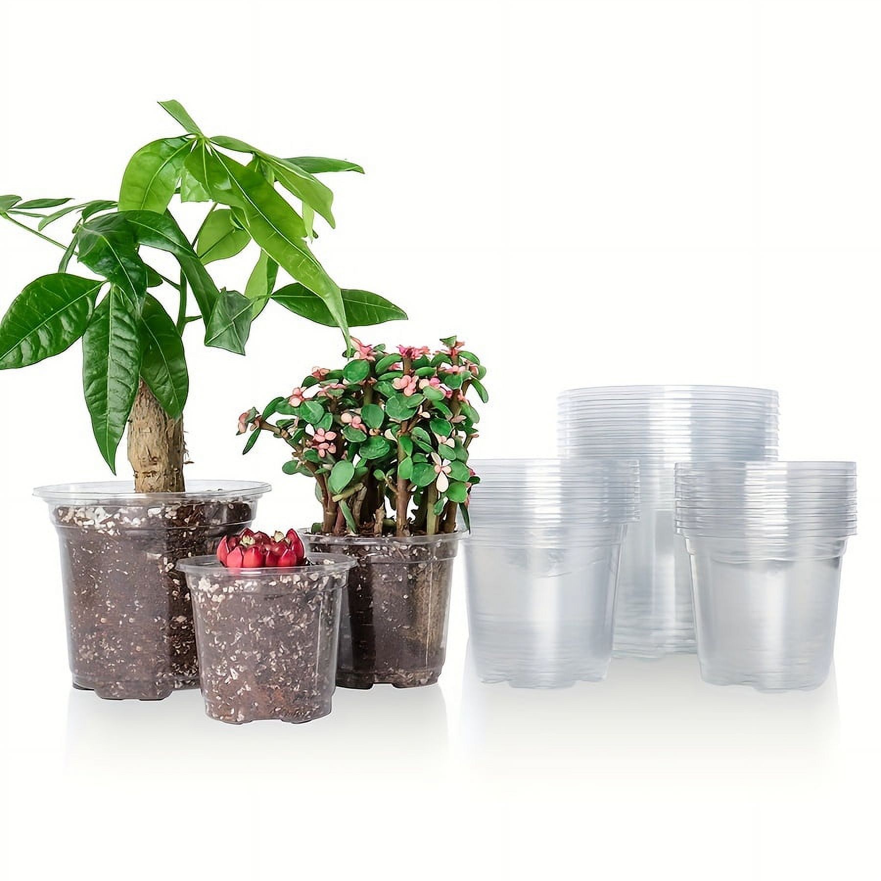 24/30pcs Plant Nursery Pots, Transparent Plastic Planter With Humidity ...