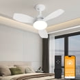 24.4" White Ceiling Fan with Light, 3 Blades 6-Speed Reversible Quiet ...