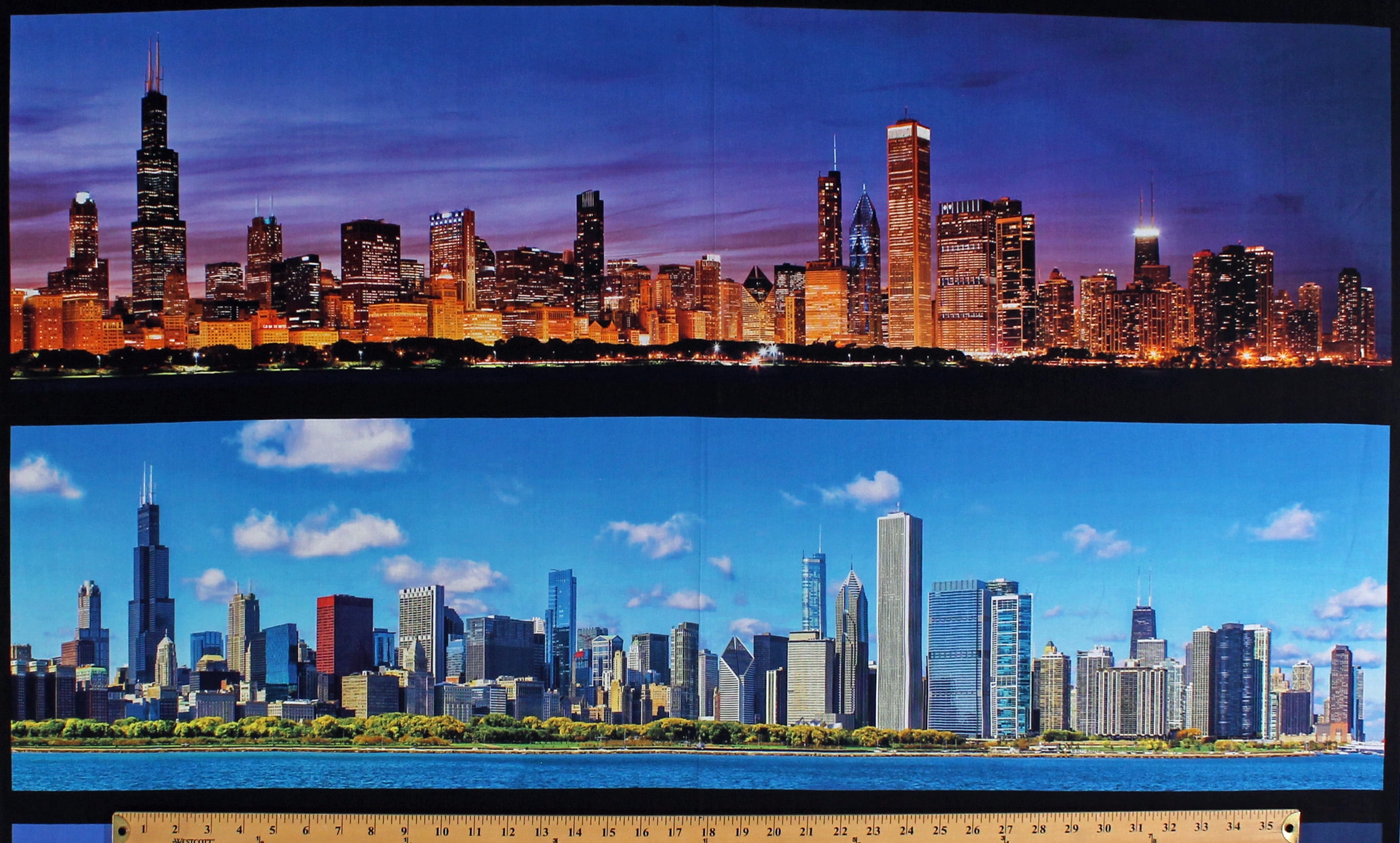 Chicago Skyline At Night