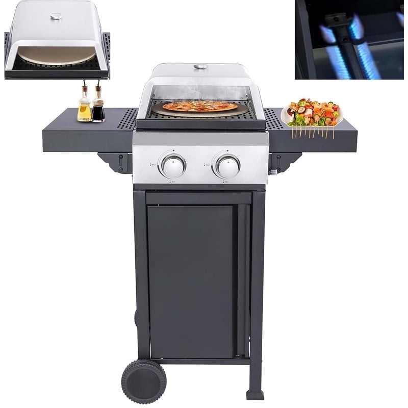 24,600 BTU 2-Burner Propane Gas Grill, Stainless Steel Outdoor BBQ Gill ...