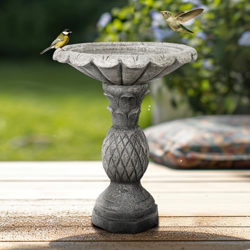 24.8 Inch Heigh Concrete Bird Bath with Pineapple Texture – birdbath ...