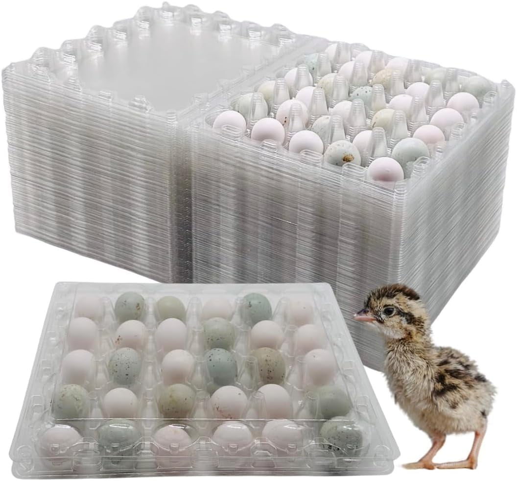 24 Cell Quail Eggs Cartons, Pigeon Eggs, Bulk Carton Quail Egg Tray ...