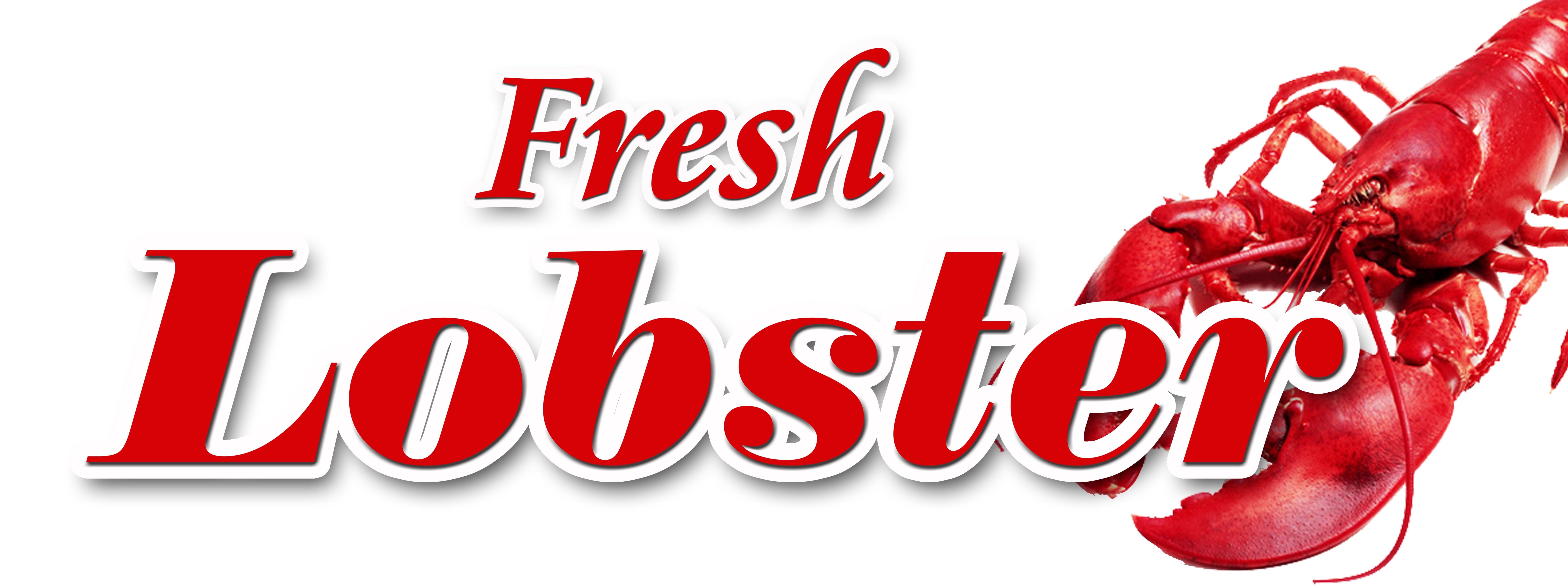 24" FRESH LOBSTER DECAL sticker lobsters maine florida cold water claws ...