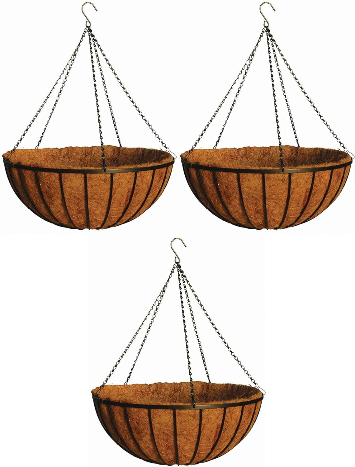 24" Georgian Rigid Iron Hanging Basket (C960) with Coco Moss Liner and ...