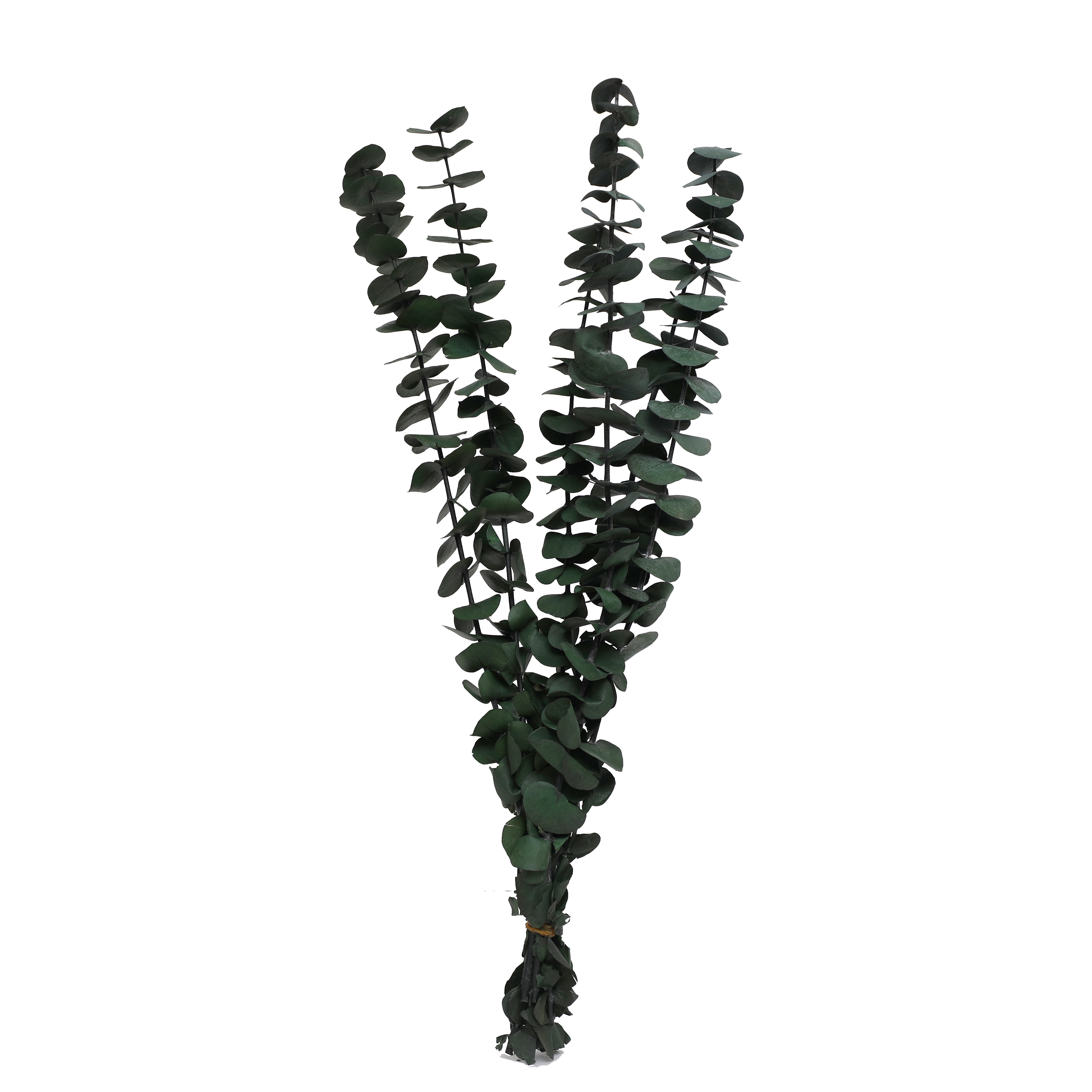 24" Green Eucalyptus Bundle by Ashland®-Christmas Florals for Home ...