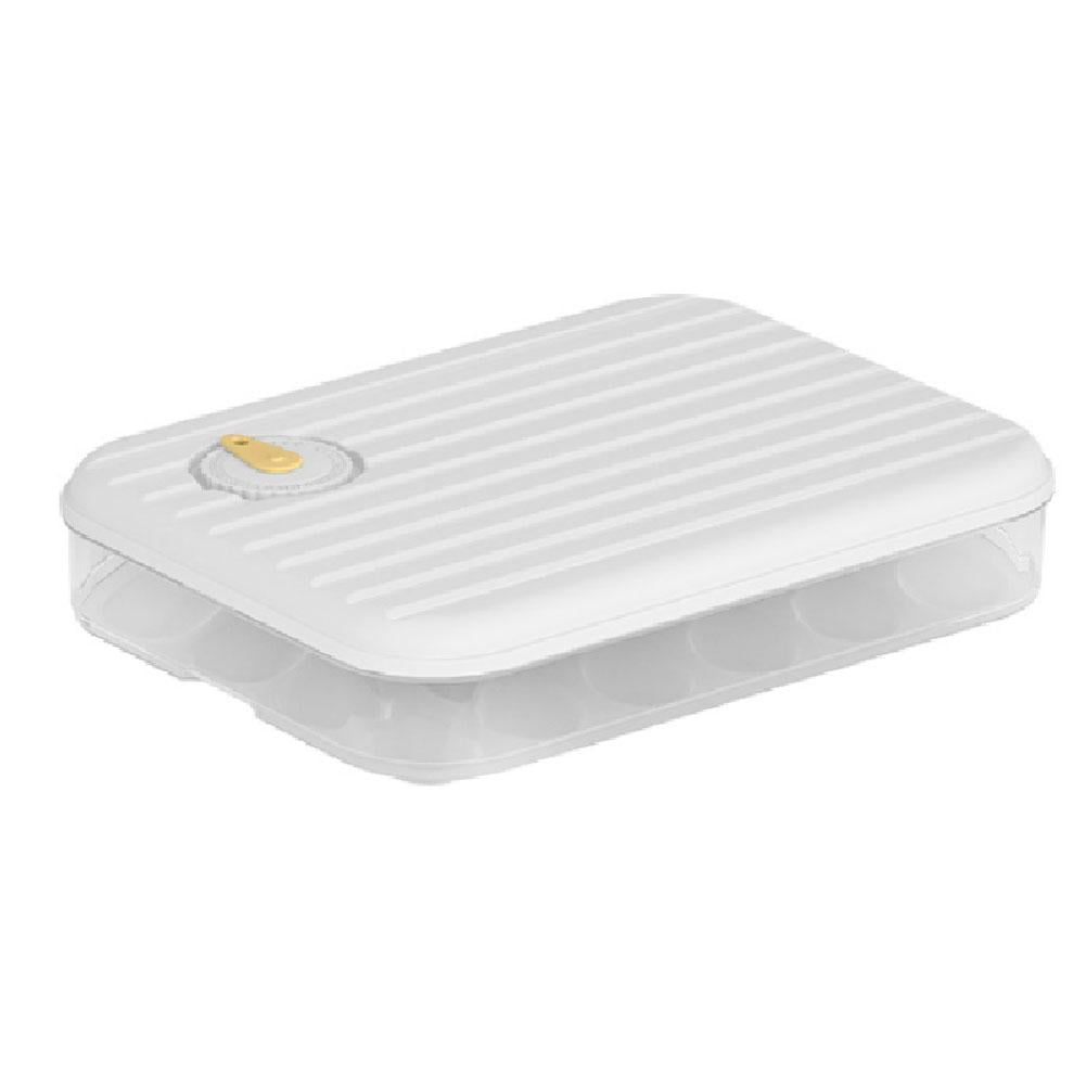 24 Grid Refrigerator Eggs Storage Box With Lid Kitchen NEW Holding ...