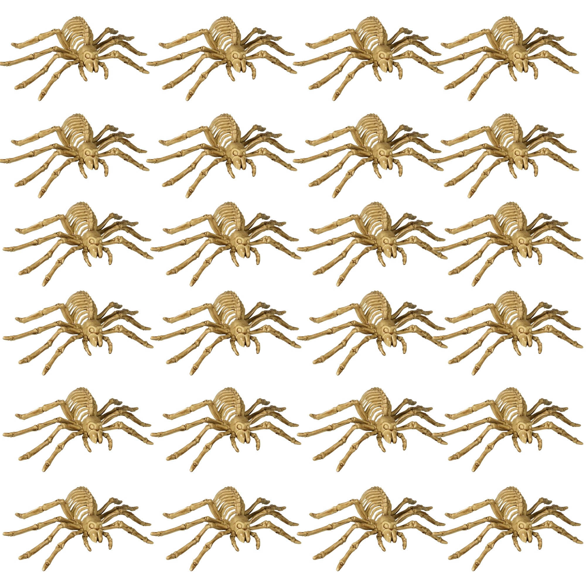 (24) Halloween Spider Skeleton, 10-in. Creepy Realistic Crawling Bone ...