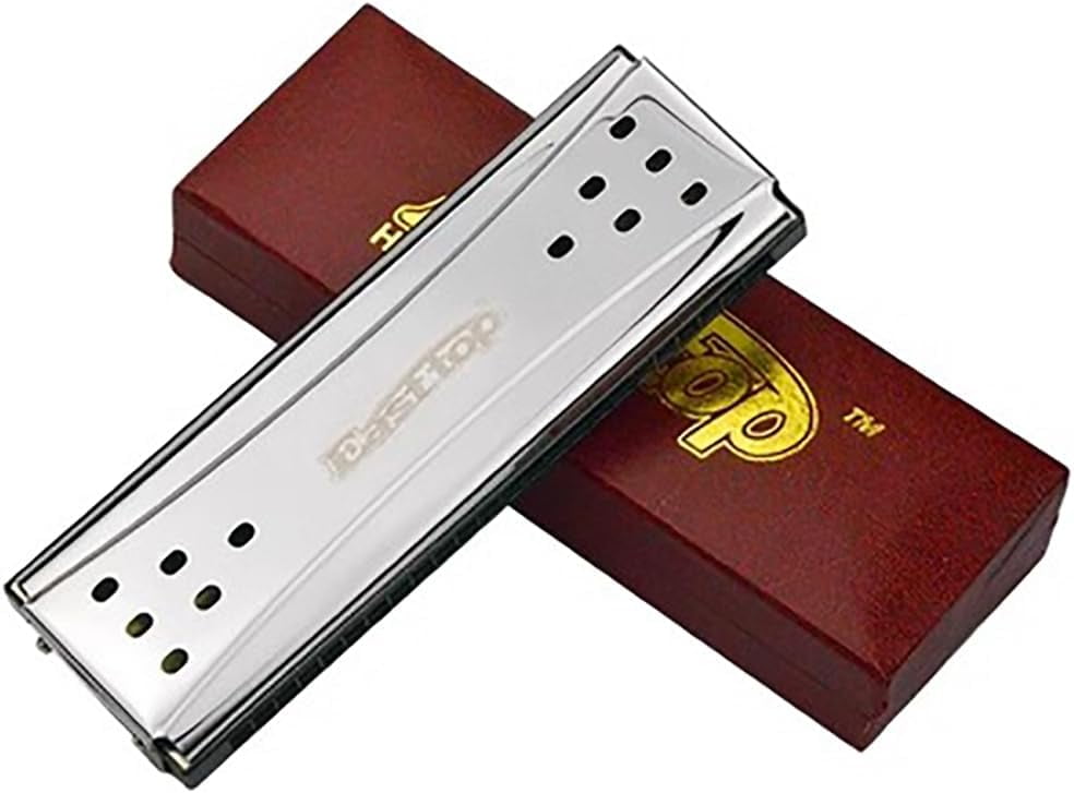 24 Hole Double Sided Dual Tone Harmonica C/G Key 2 in 1 Polyphonic ...