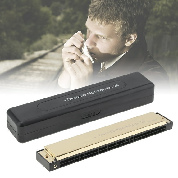 24 Holes Key of C Blues Harmonica for Beginner Students Professional 8K Titanium Tremolo Blues ...