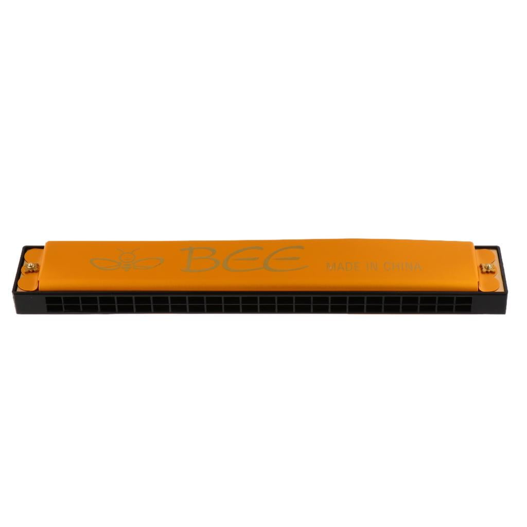 24 Holes Key of C Tremolo Harmonica Mouth Organ Kids Early Childhood ...