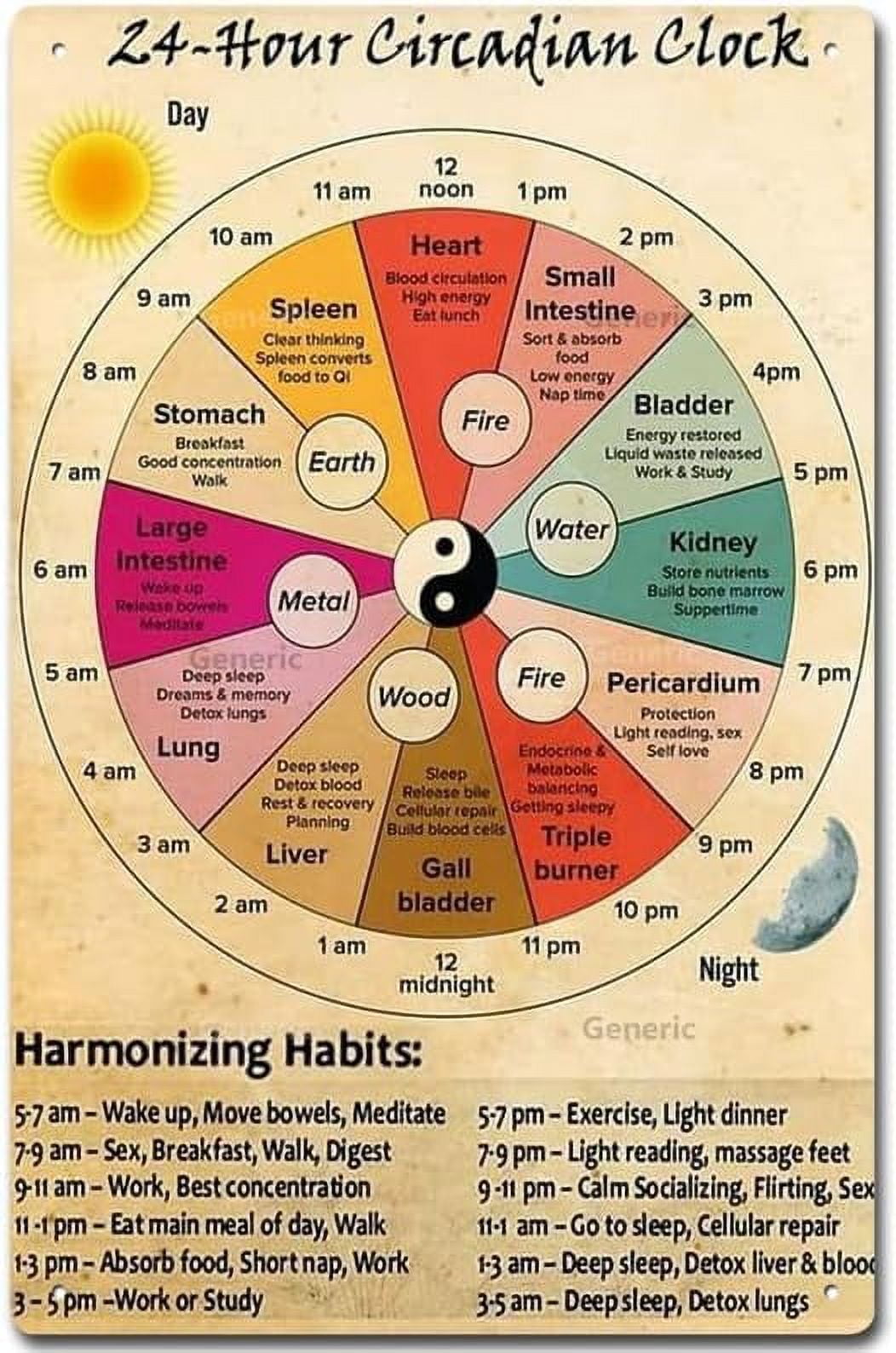 24 Hour Circadian Clock Organ Clock Unframed Knowledge Wall Art Chinese ...