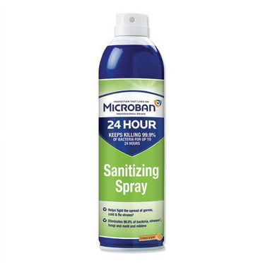 2 Pack, 4-in-One Disinfectant and Sanitizer, Citrus, 14 oz Aerosol ...