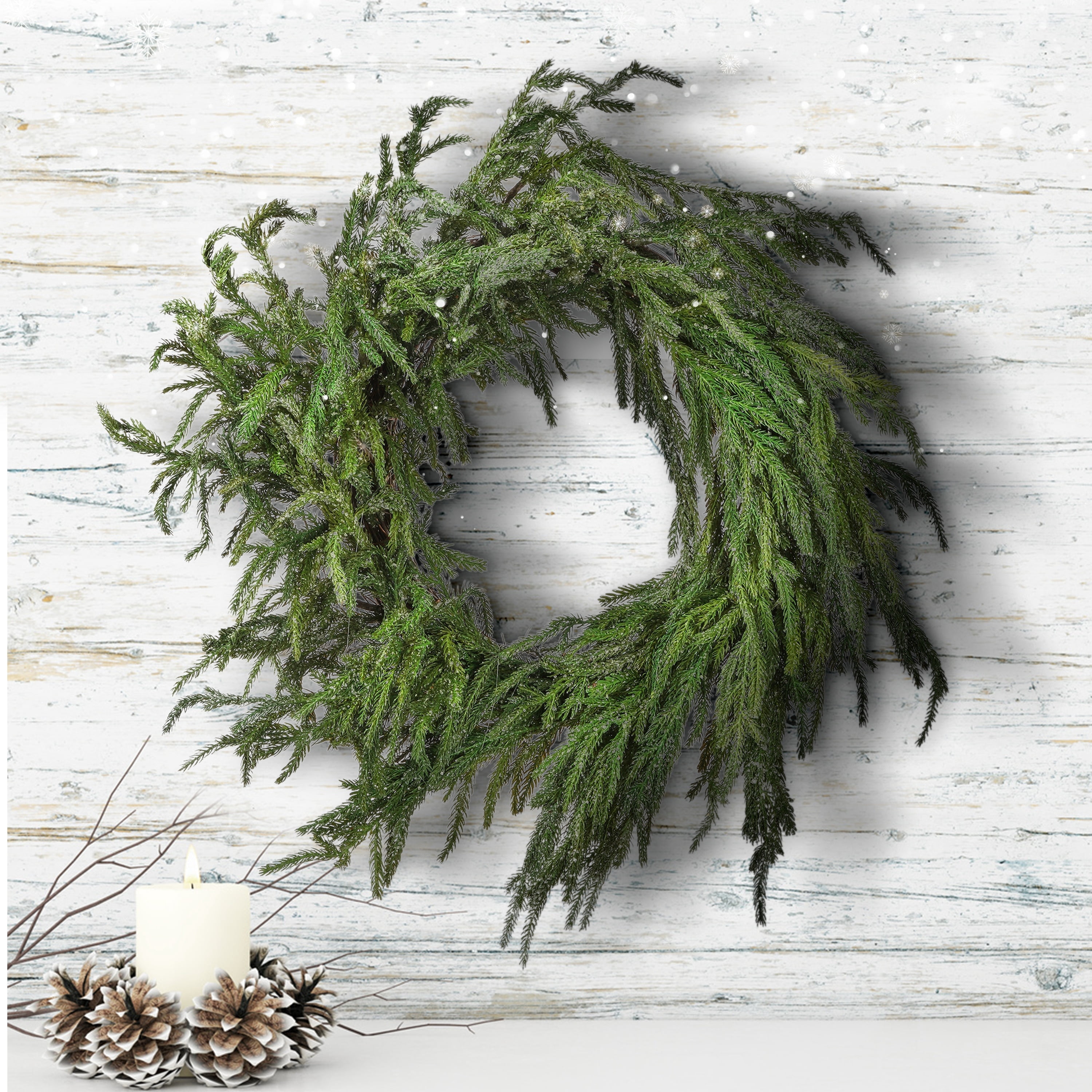 Regency International 24" Iced Garden Norfolk Pine Wreath - Natural ...