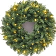 24 Inch Artificial Pre-Lit Christmas Wreath Spruce, 50 LED Warm White ...