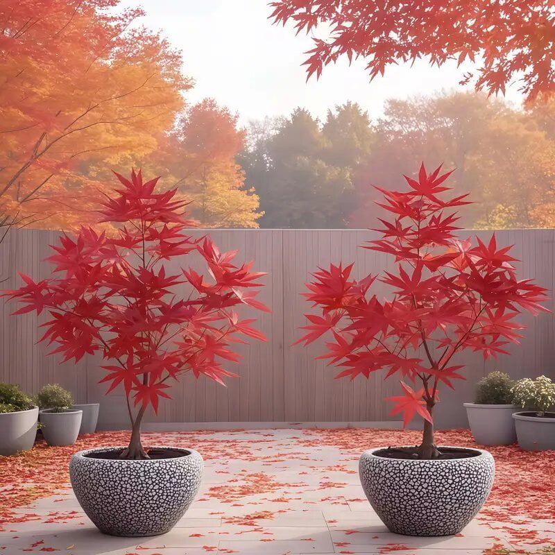 24-Inch Maple Tree Artificial Trees in Red Fall Ceramic Pot 2 Count ...