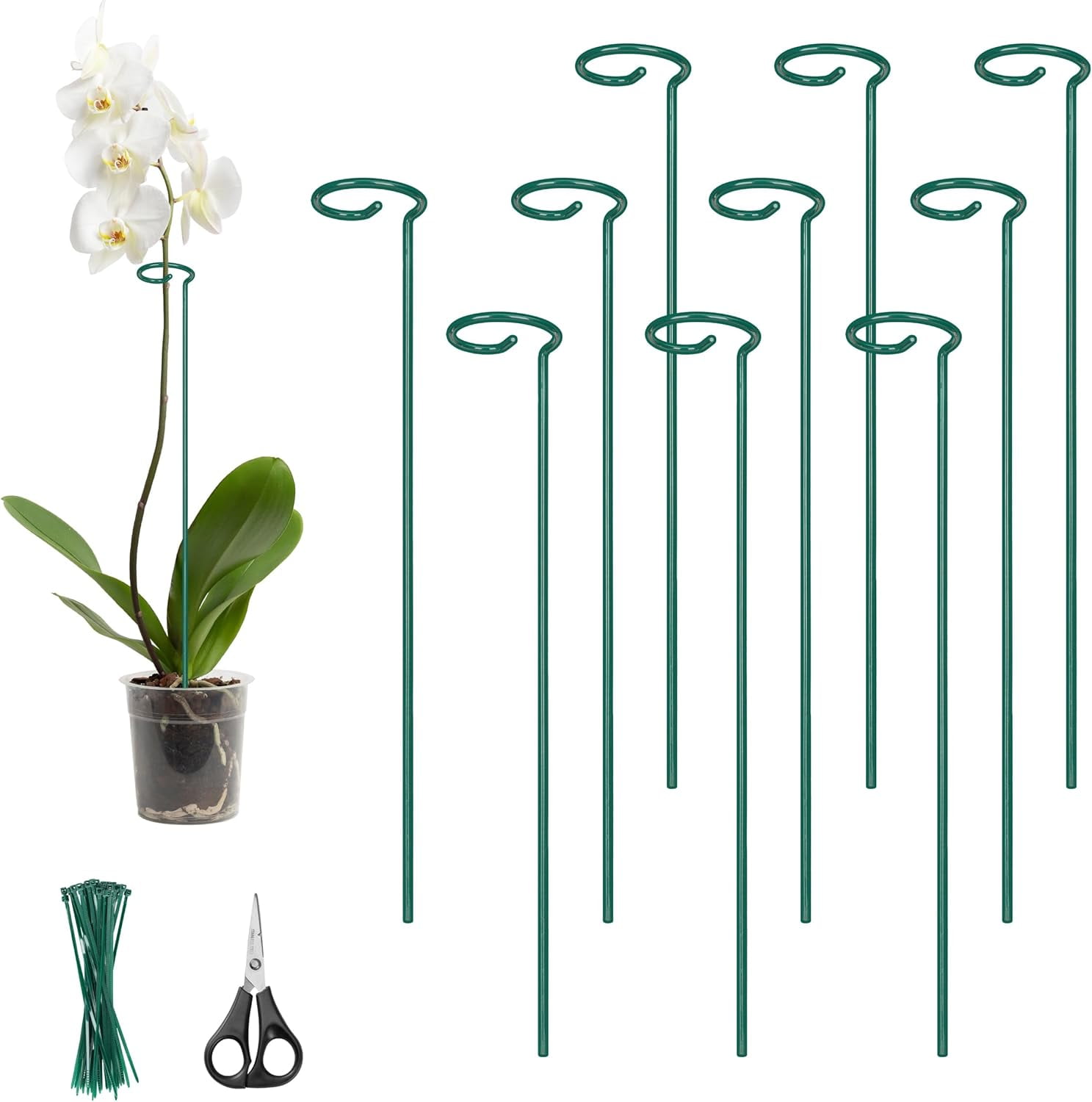 24 Inch Plant Support Stake - 10 Pack, All Metal Garden Plant Stakes ...