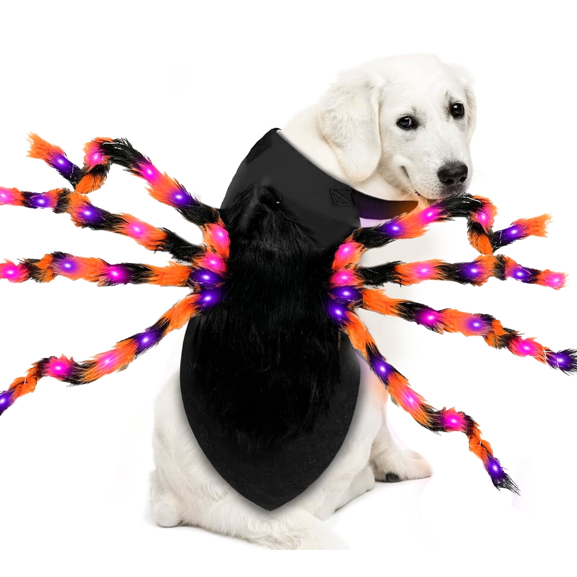 KyFree 48 LED Spider Dog Halloween Costume for Dogs, Furry Giant Spider ...