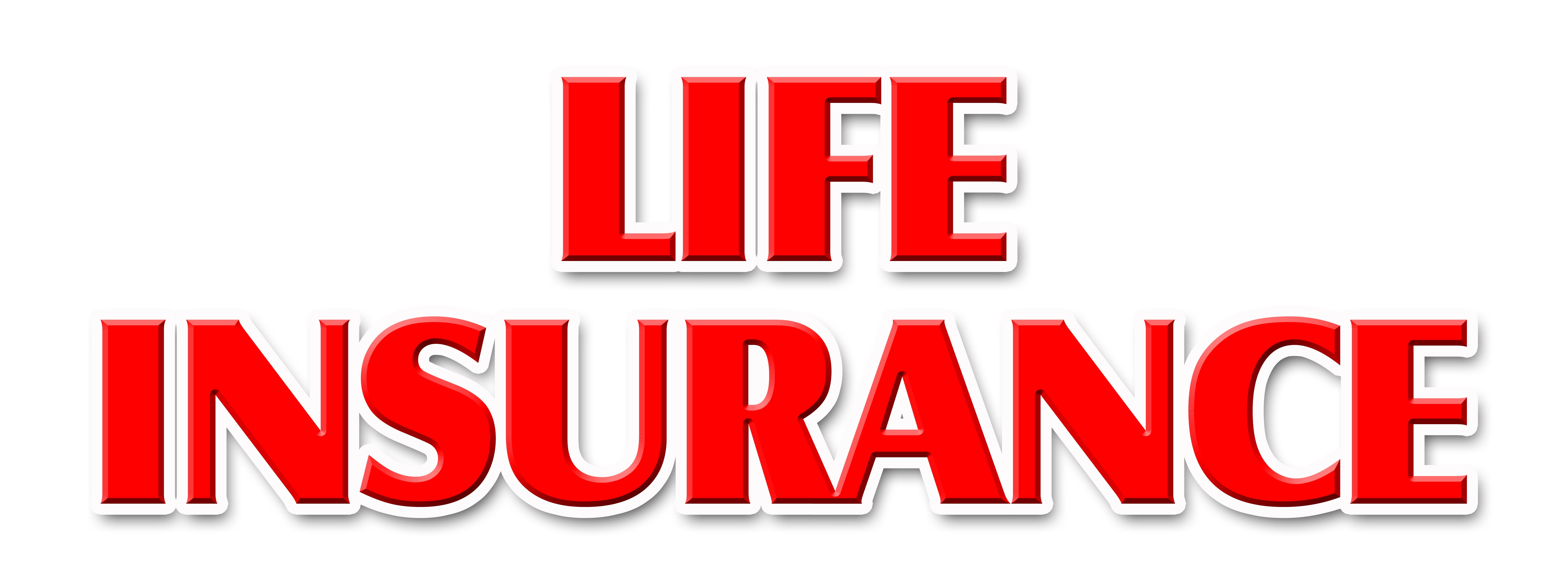 24" LIFE INSURANCE DECAL sticker financial income quotes terms ...