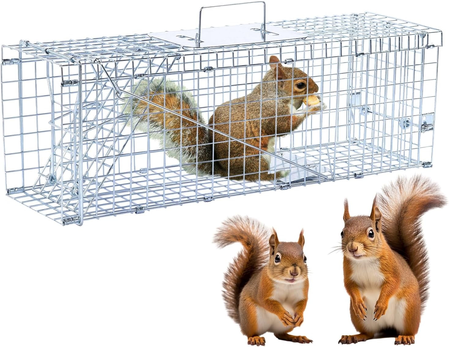 24" Live Animal Trap, Humane Animal Trap for Stray Cats up to 5.5 ...