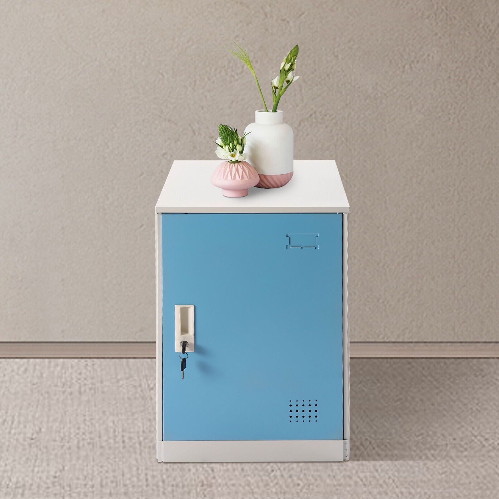 24" Metal Storage Locker Storage Cabinet Steel for Office School Gym ...