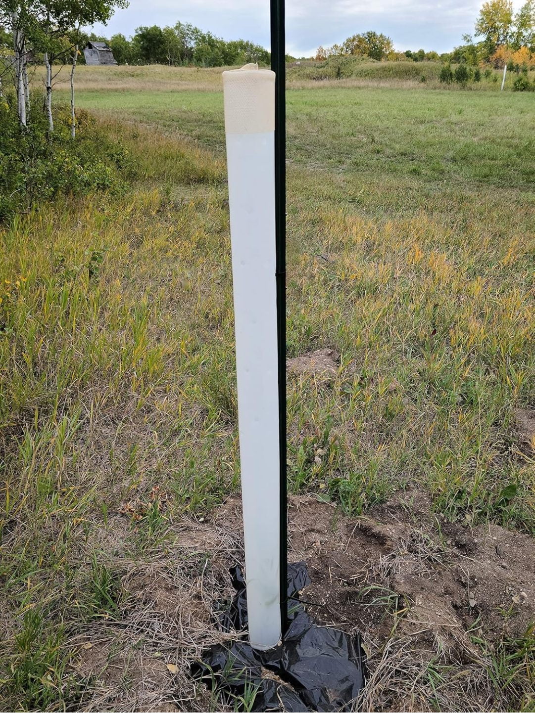 24" Miracle Tree Tube - Grow Tube - Tree Shelter (5) - Walmart.com