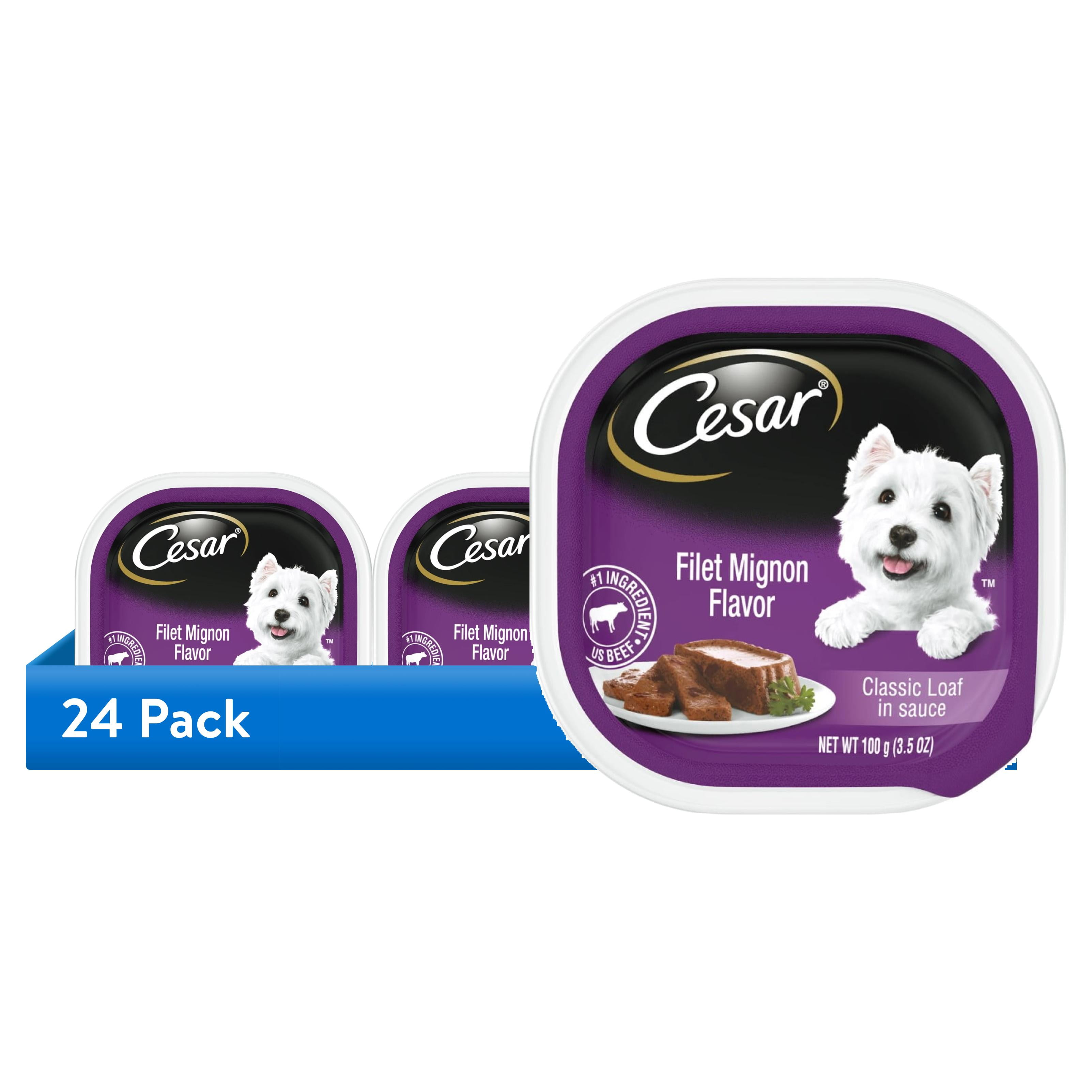 (24 pack) CESAR Soft Wet Dog Food Classic Loaf in Sauce Filet Mignon ...