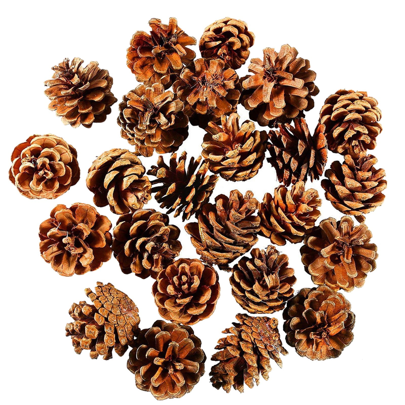24 PCS Natural Pine Cones,Pinecone Ornaments,Rustic Pine Cones for Crafts,Winter Decorations for ...