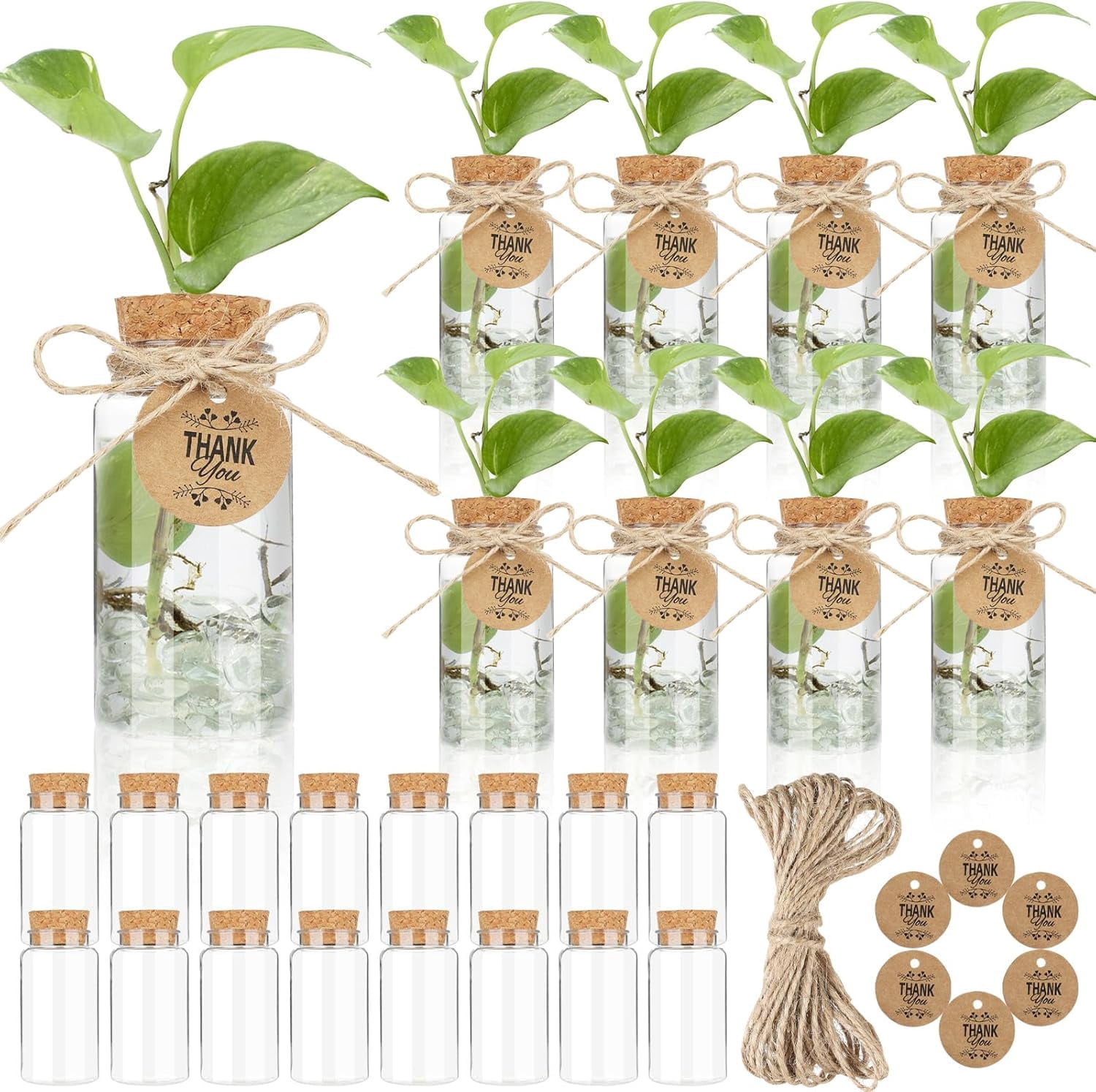 24 Pack 3.54'' Plant Propagation Stations 4oz Plastic Propagation Jars ...