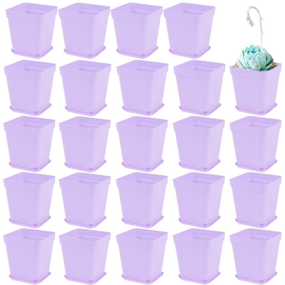24 Pack 3inch Multi Color Square Plastic Plant Pots,Seedling Nursery ...