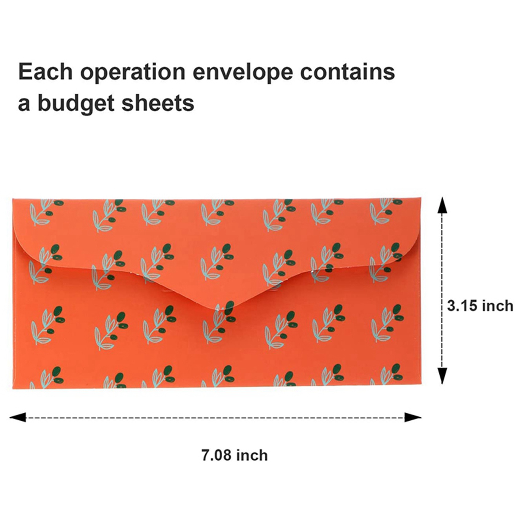 24 Pack Budget Envelopes Laminated Cash Envelope System for Money ...