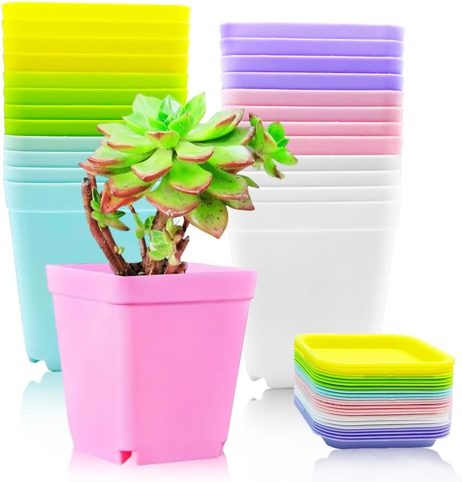 24 Pack Colorful Flower Pots Square Plastic Plant Pots Succulent ...