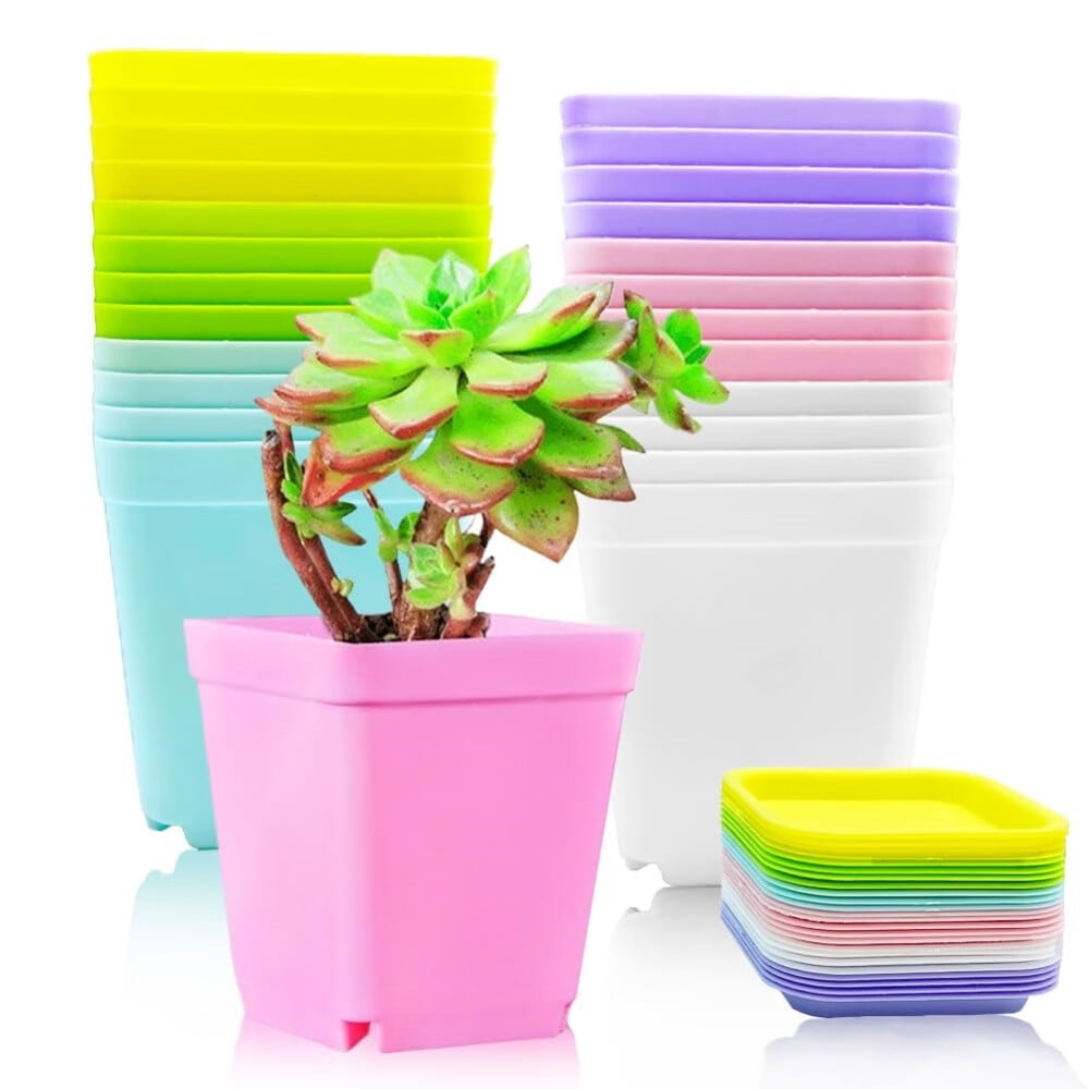 24 Pack Colorful Flower Pots Square Plastic Plant Pots Succulent ...
