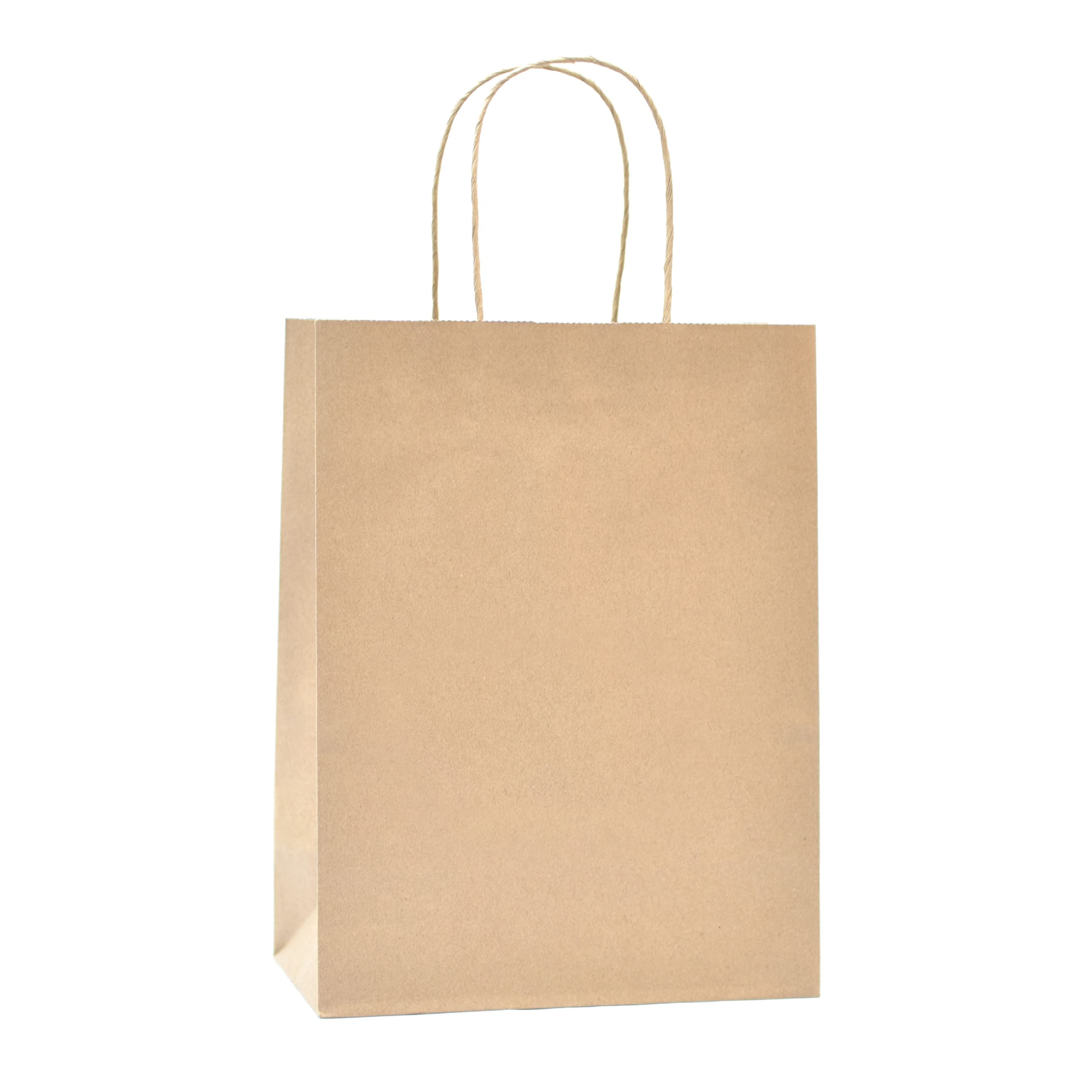 24 Pack Medium Kraft Paper Bags with Handles for Gifts, Shopping, Party ...