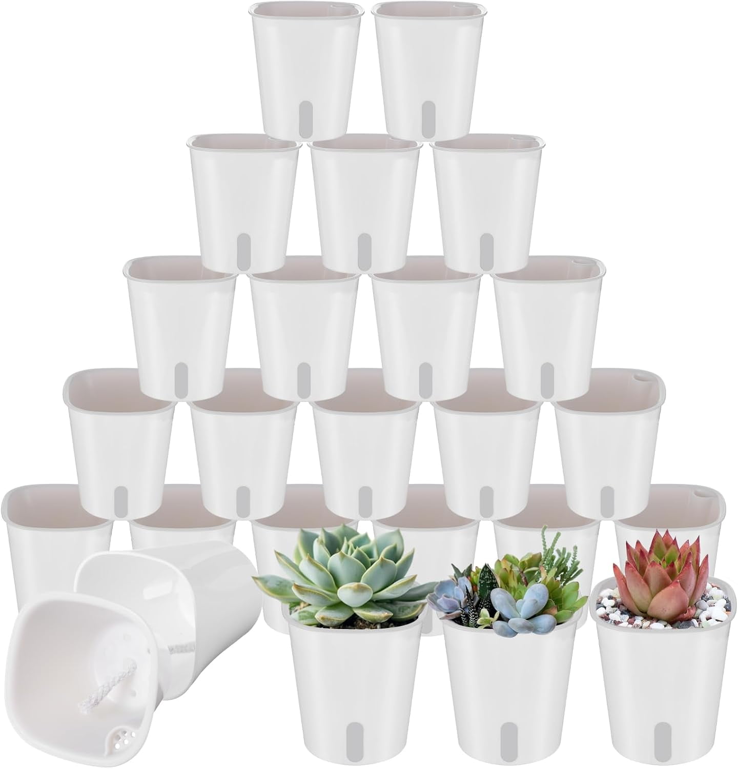 24-Pack Self-Watering Plant Pots – 3" Indoor Planters with Water Level ...