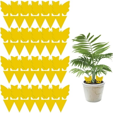 51 Pcs Fly Dual-Sided Yellow Sticky Bug Plant Fly Insect Glue Sticky ...