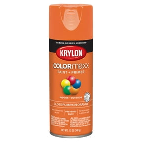 Krylon Colormaxx