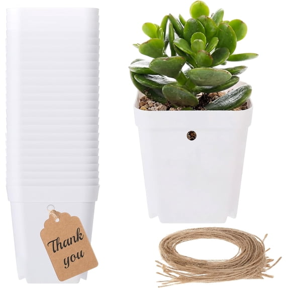 24 Pcs 3" Small Plant Pots Thank You Gifts, Square Plastic Plant Pots ...