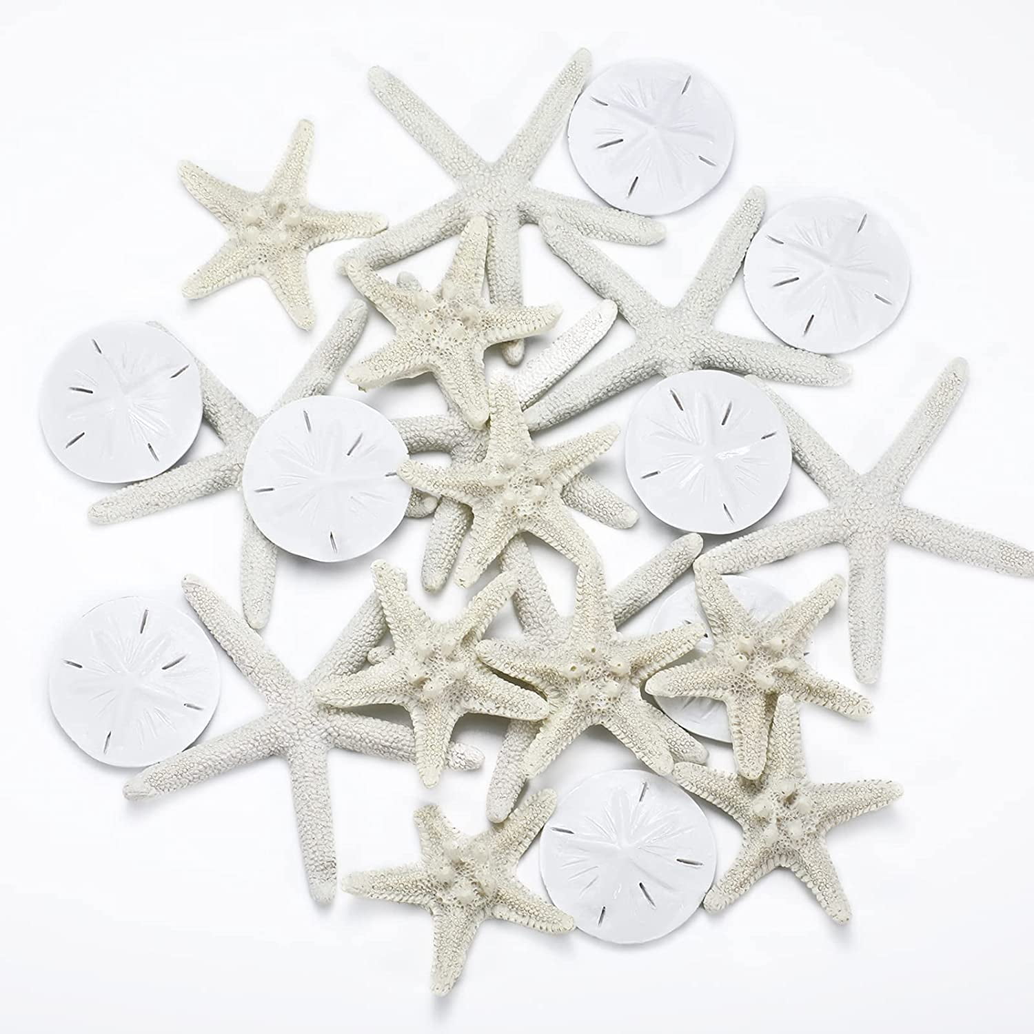 24 Pieces Starfish Assorted 3.14 Inch Starfish for Crafts Sand Dollar ...