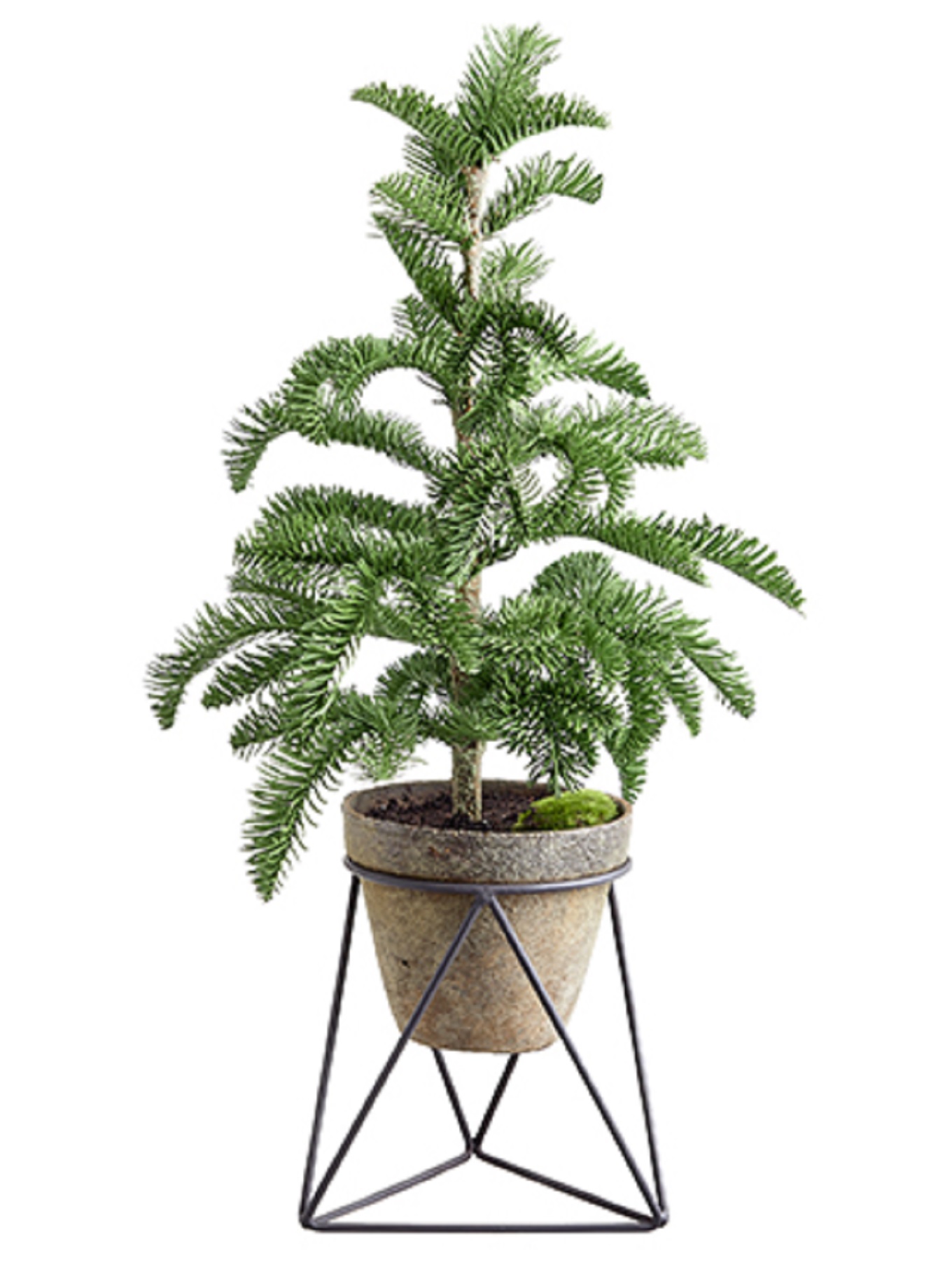 24'' Pine Tree in Mid-Century Modern Planter - Walmart.com