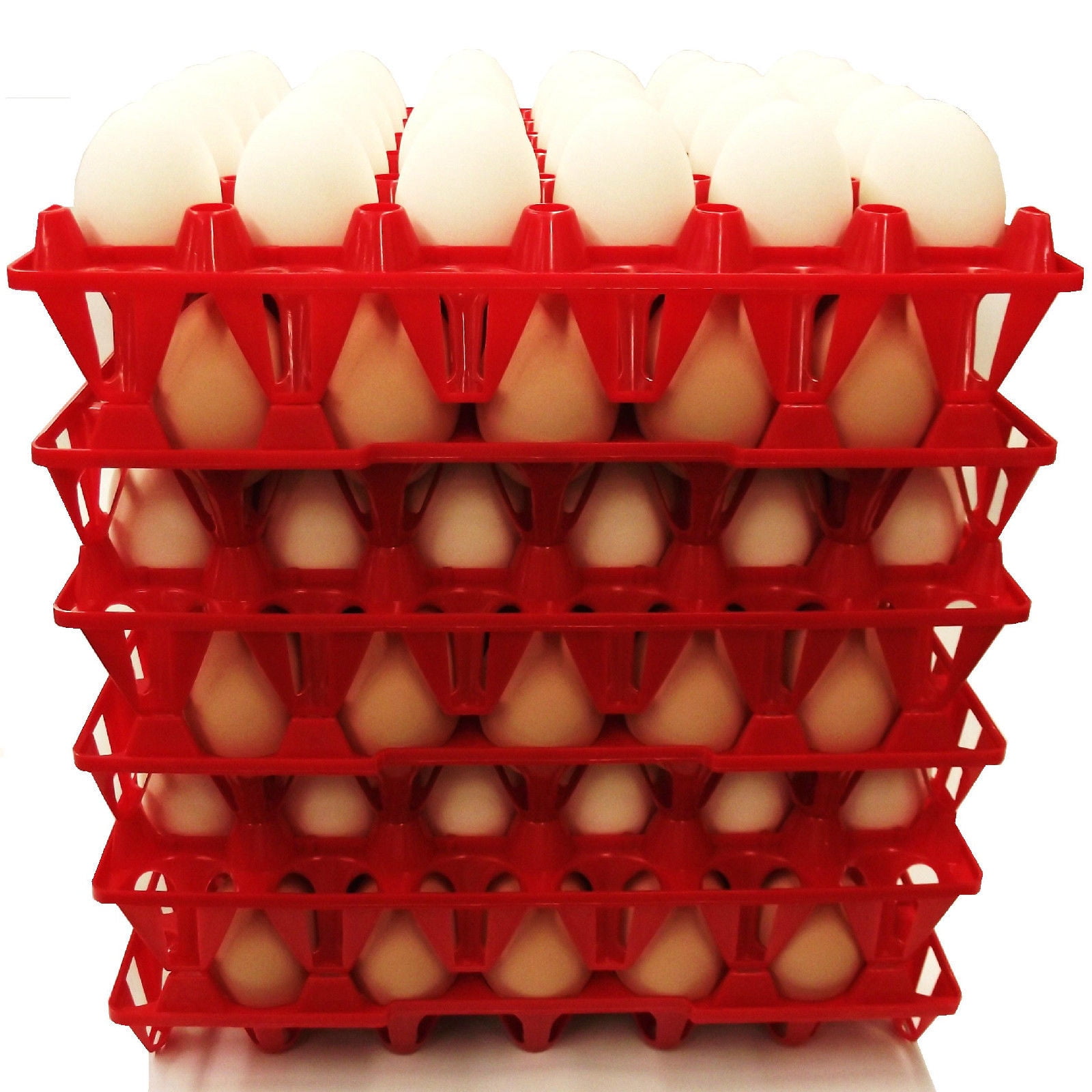 24 RITE FARM PRODUCTS 30 EGG POLY CHICKEN TRAYS SHIPPING CARTON POULTRY ...