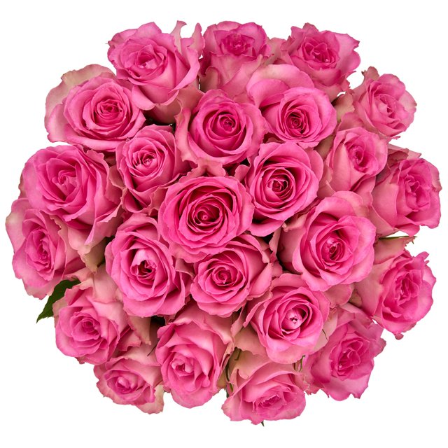 24 Stem Fresh Cut Solid Roses, Colors Vary - Walmart.com