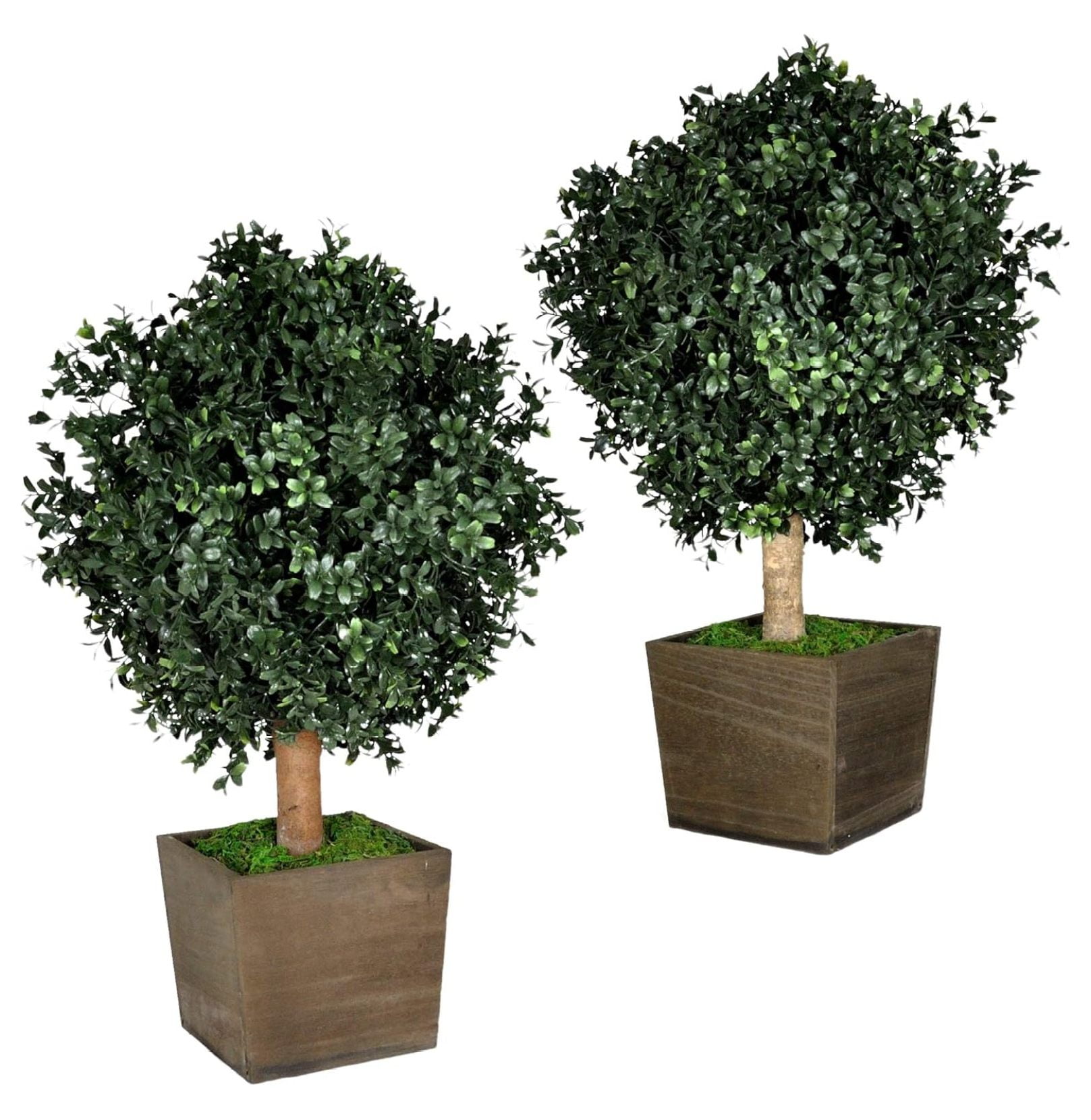 24" Tall Artificial Boxwood Shrubs (2), includes Decorative Wooden Pot ...